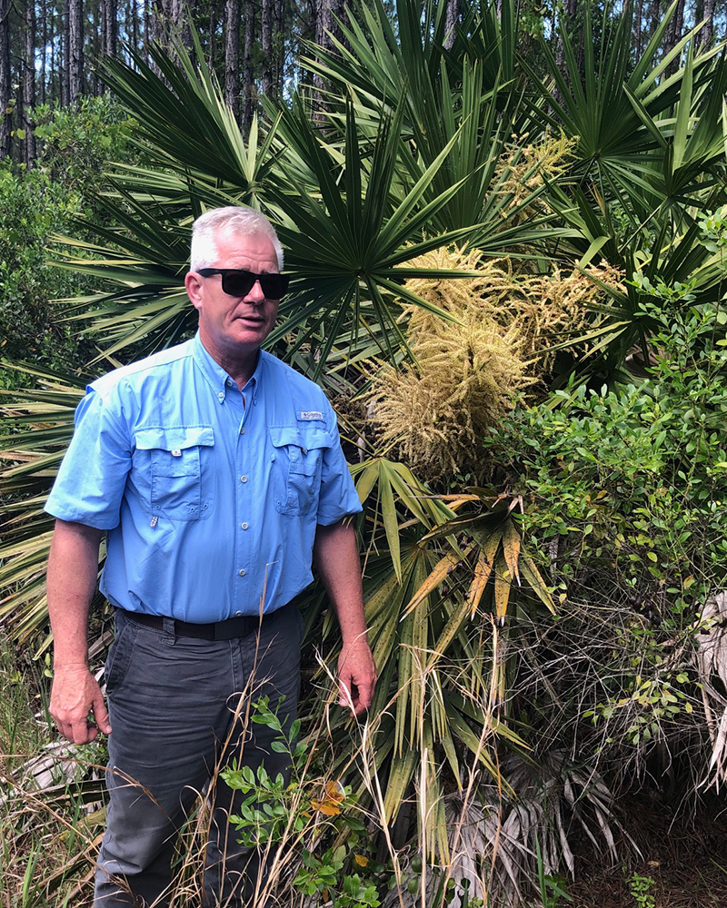 About Wood Forestry - Wood Forestry, LLC