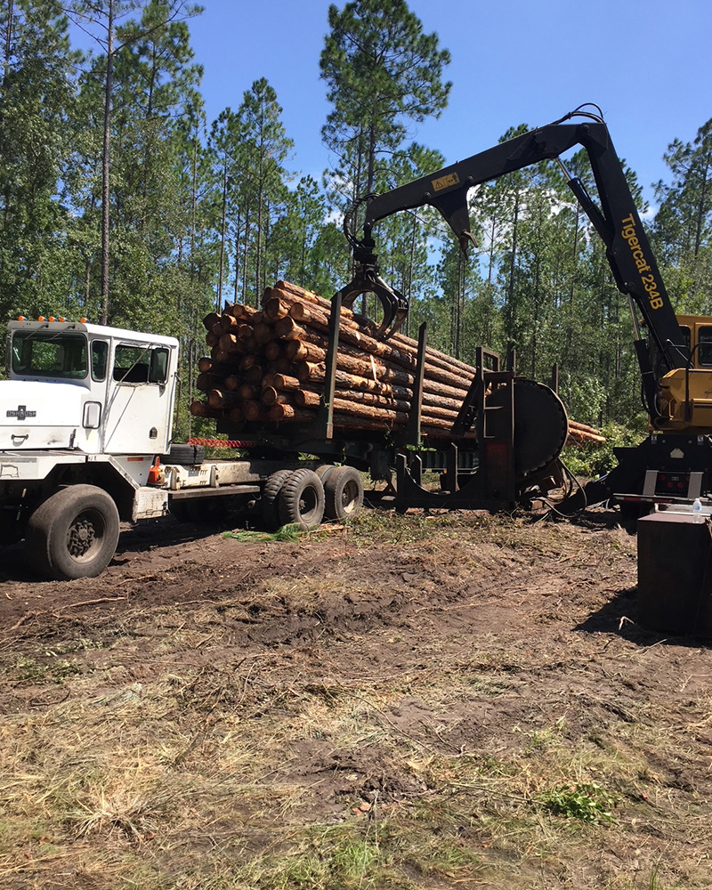 Contact Wood Forestry - Wood Forestry, LLC