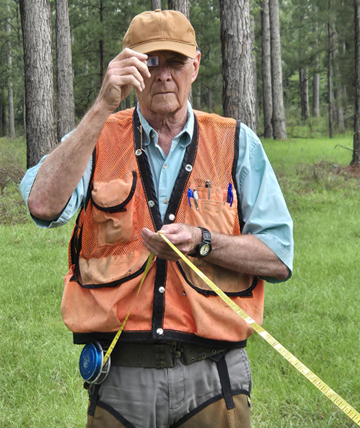 Wood Forestry - Wood Forestry, LLC